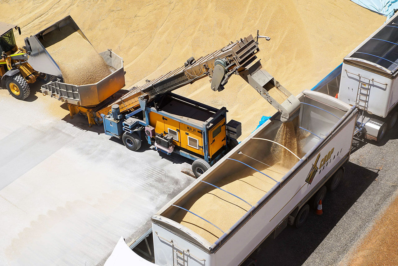 Harvest jobs | CBH Group