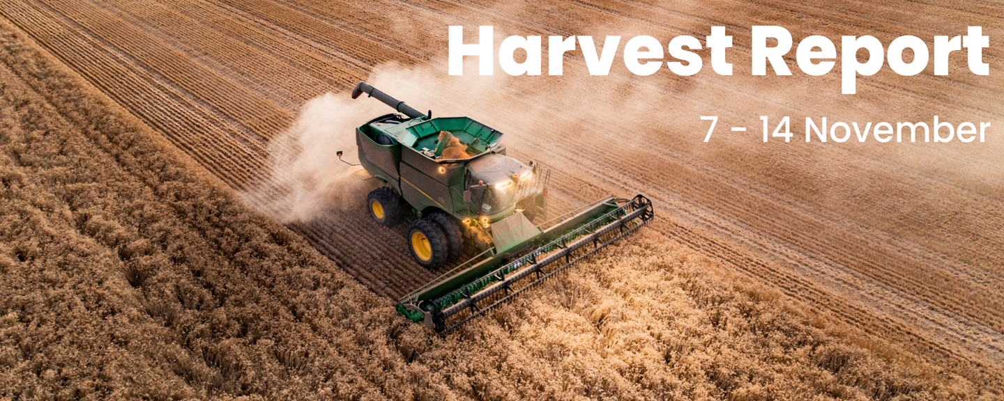 Welcome to our first Harvest Report for the 2022-23 season | CBH Group