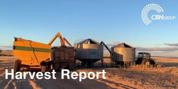 Growers deliver 20 million tonnes to CBH with more to come | CBH Group