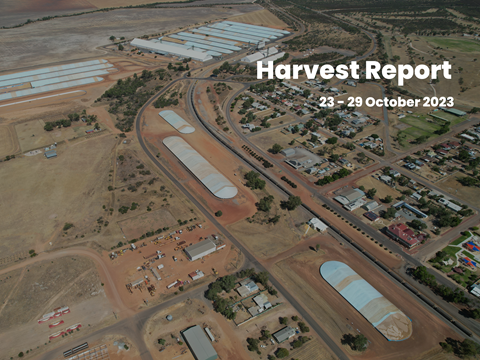 Harvest Report - 28 October 2024 | CBH Group