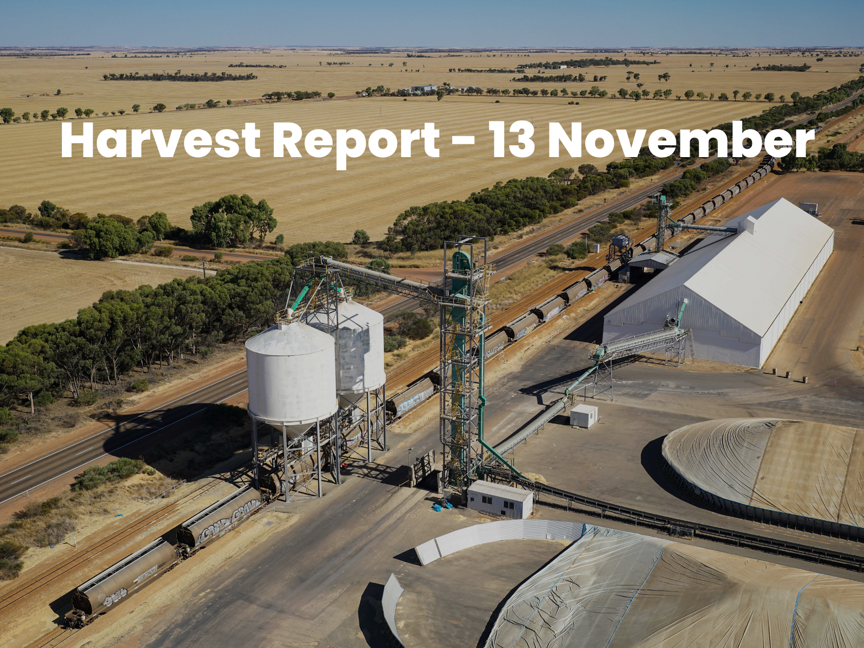 Harvest Report - 13 November 2023 | CBH Group
