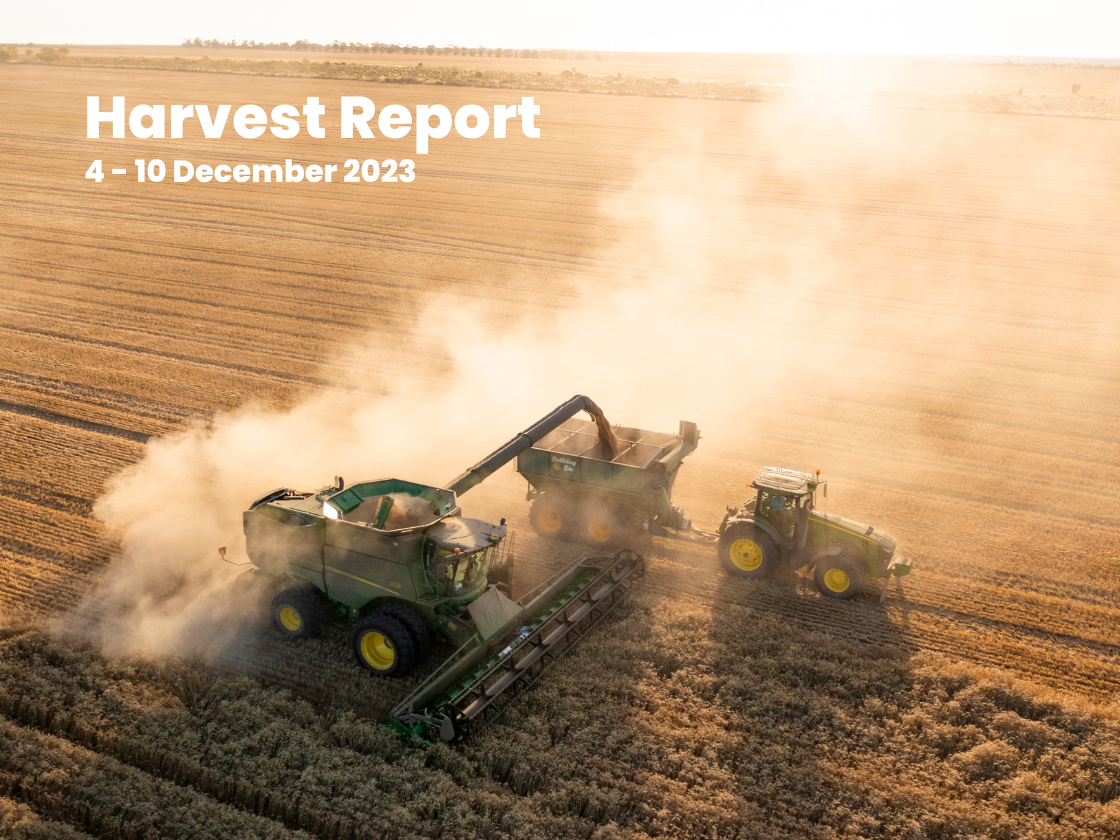 Harvest Report - 11 December | CBH Group