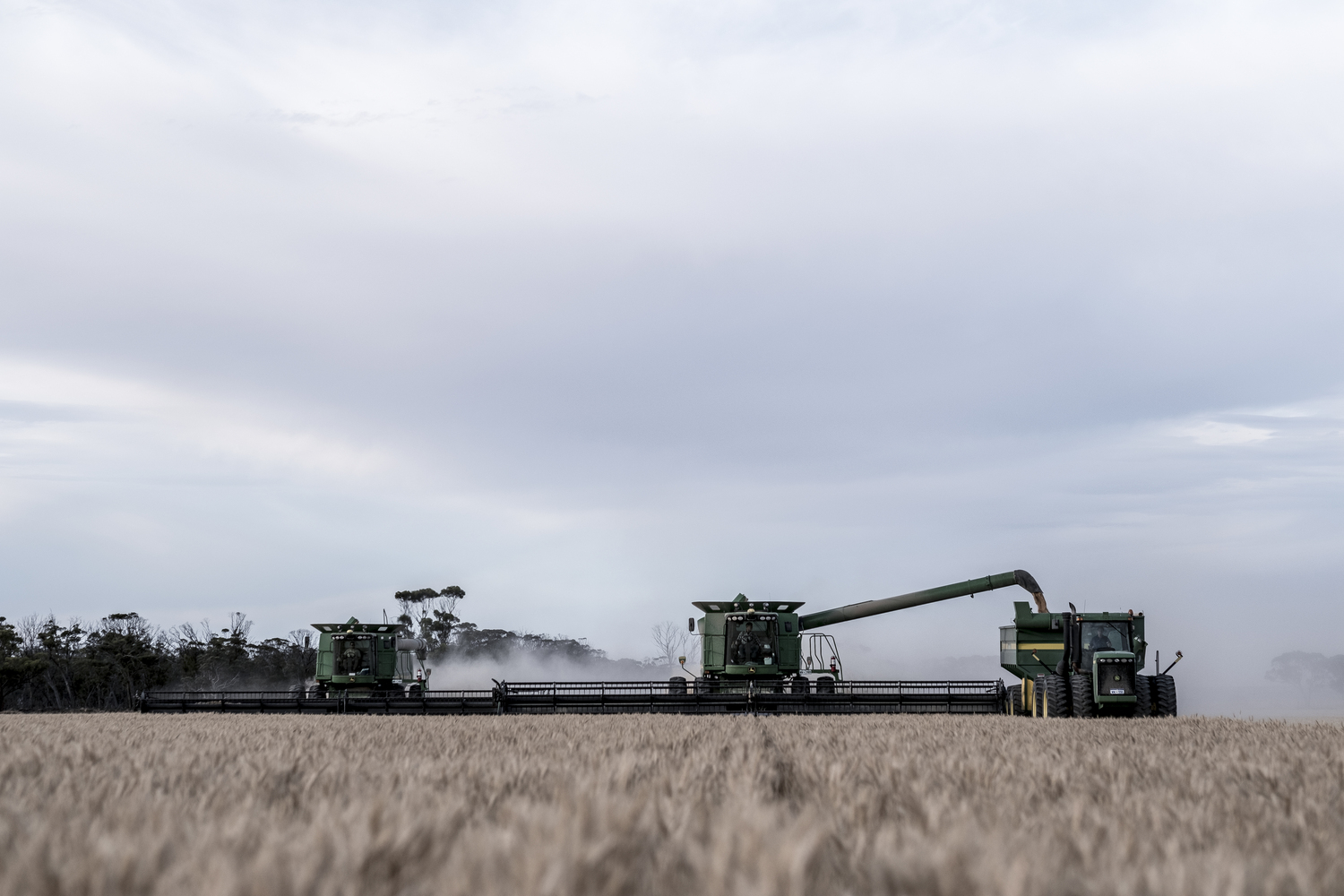 Harvest Report - 11 November | CBH Group