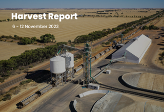 Harvest Report - 28 October 2024 | CBH Group