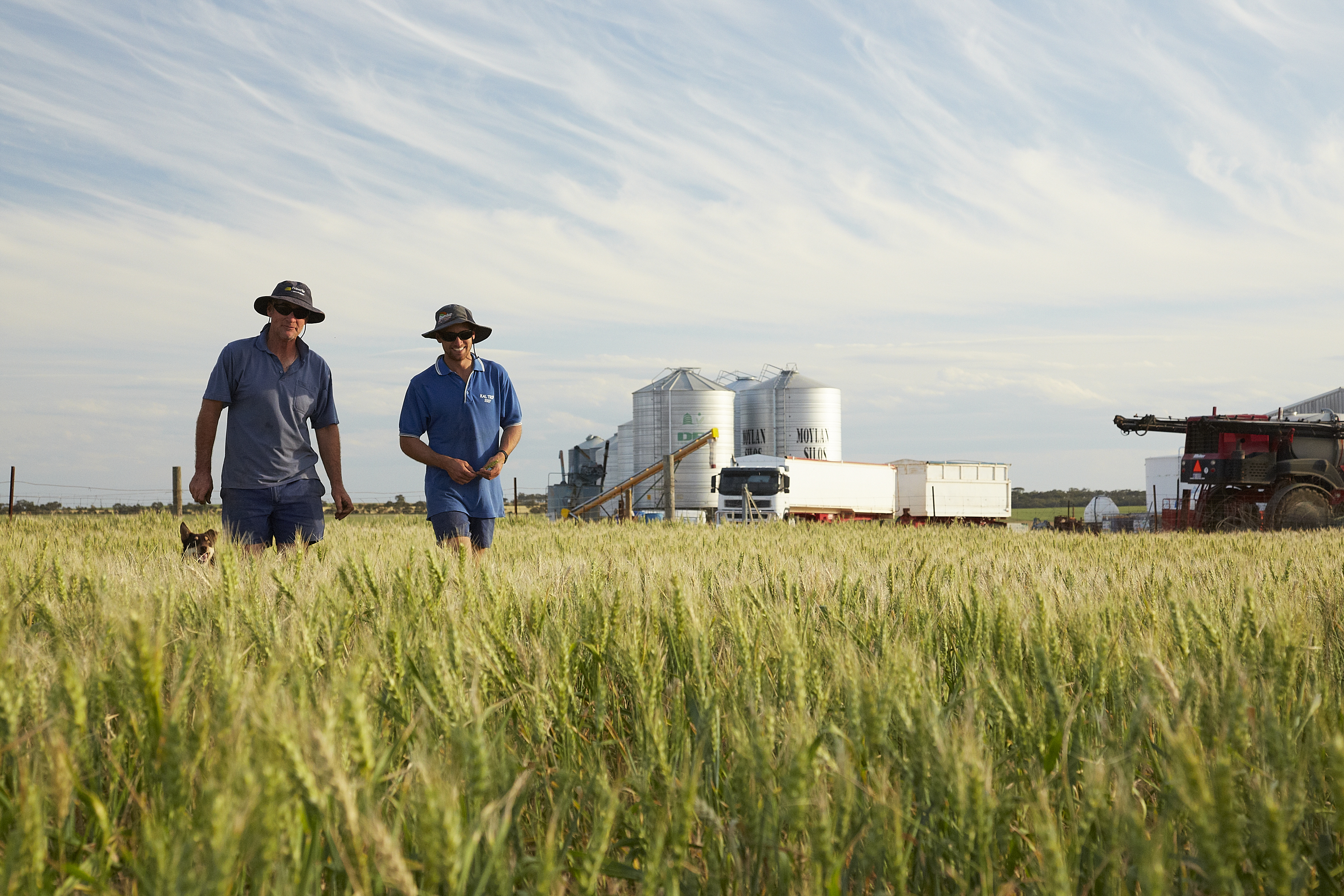 Growers FAQs | CBH Group