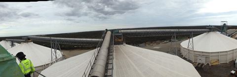 Wellstead | CBH Group