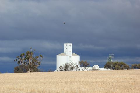 Meckering | CBH Group