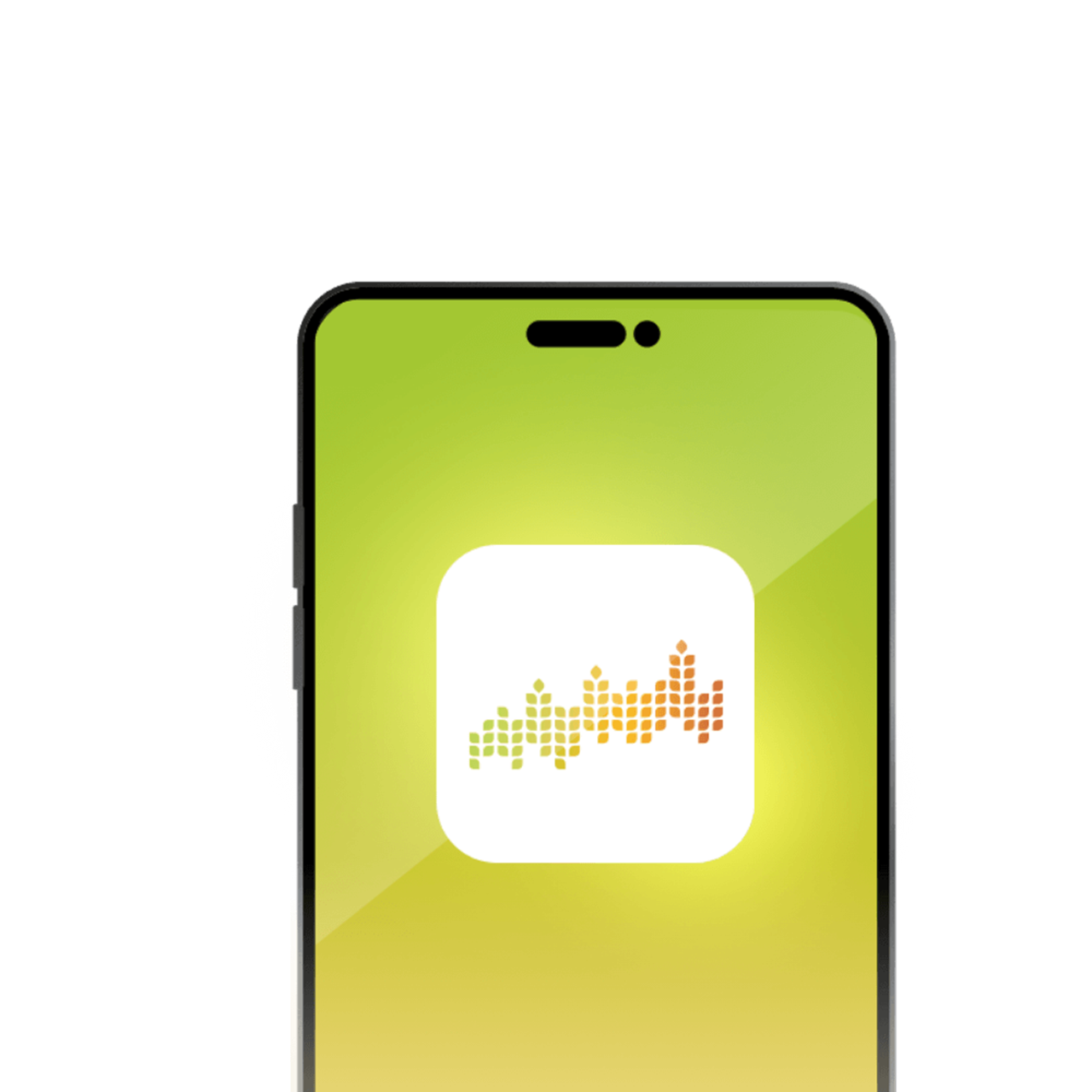 Features | DailyGrain